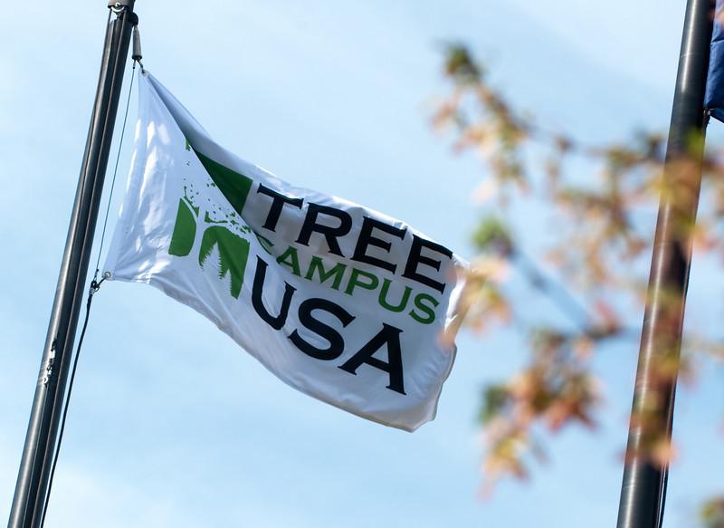 University earns Tree Campus USA designation for fourth straight year ...